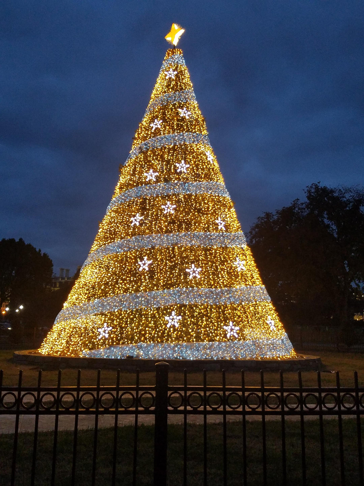 2017 National Christmas Tree — Trendy Tree