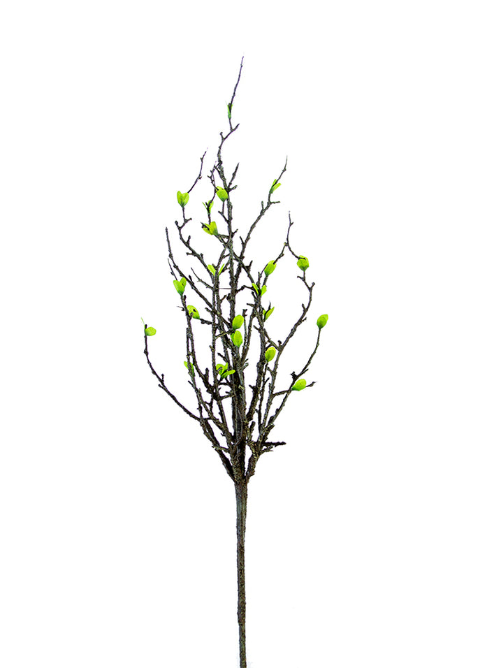 Seasonal — Trendy Tree