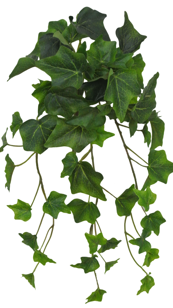 15" Dark Green Real Touch Mini Ivy with 7 Stems 80091-DKGN — Trendy Tree