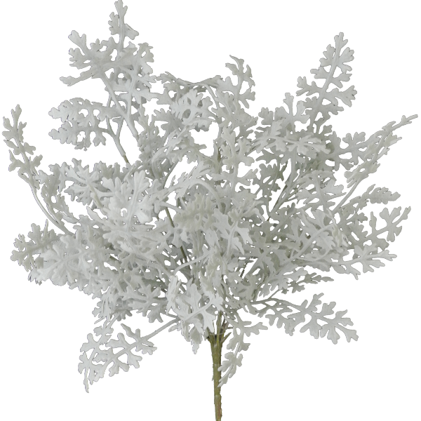 Seasonal — Trendy Tree