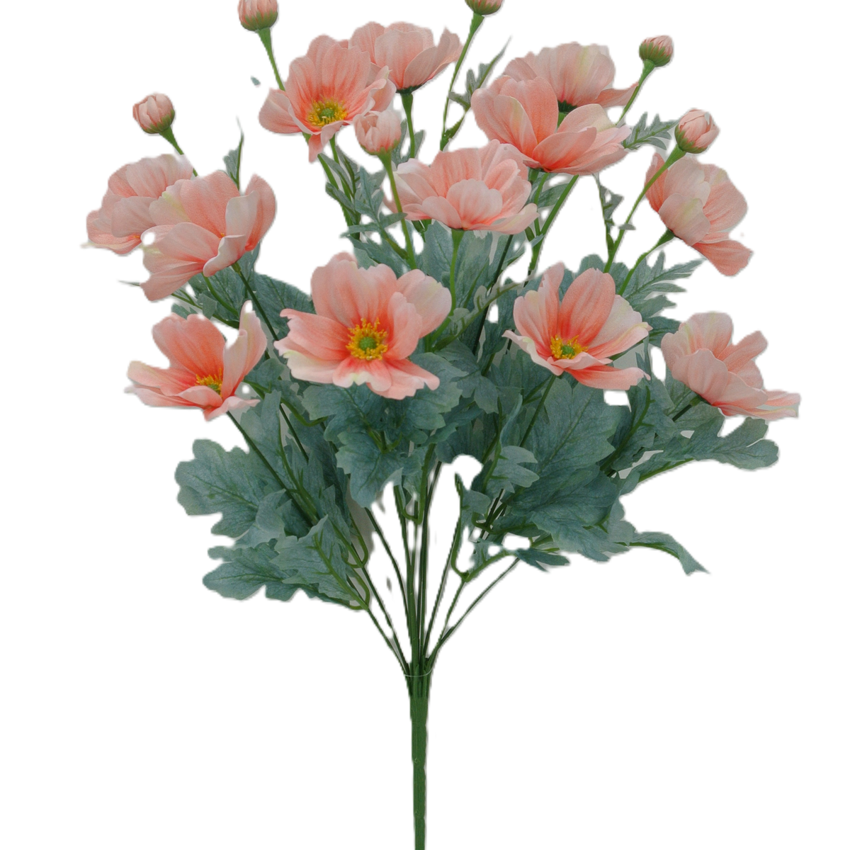 22" Cosmos Bush Peach 12 Stems 84299-PH — Trendy Tree