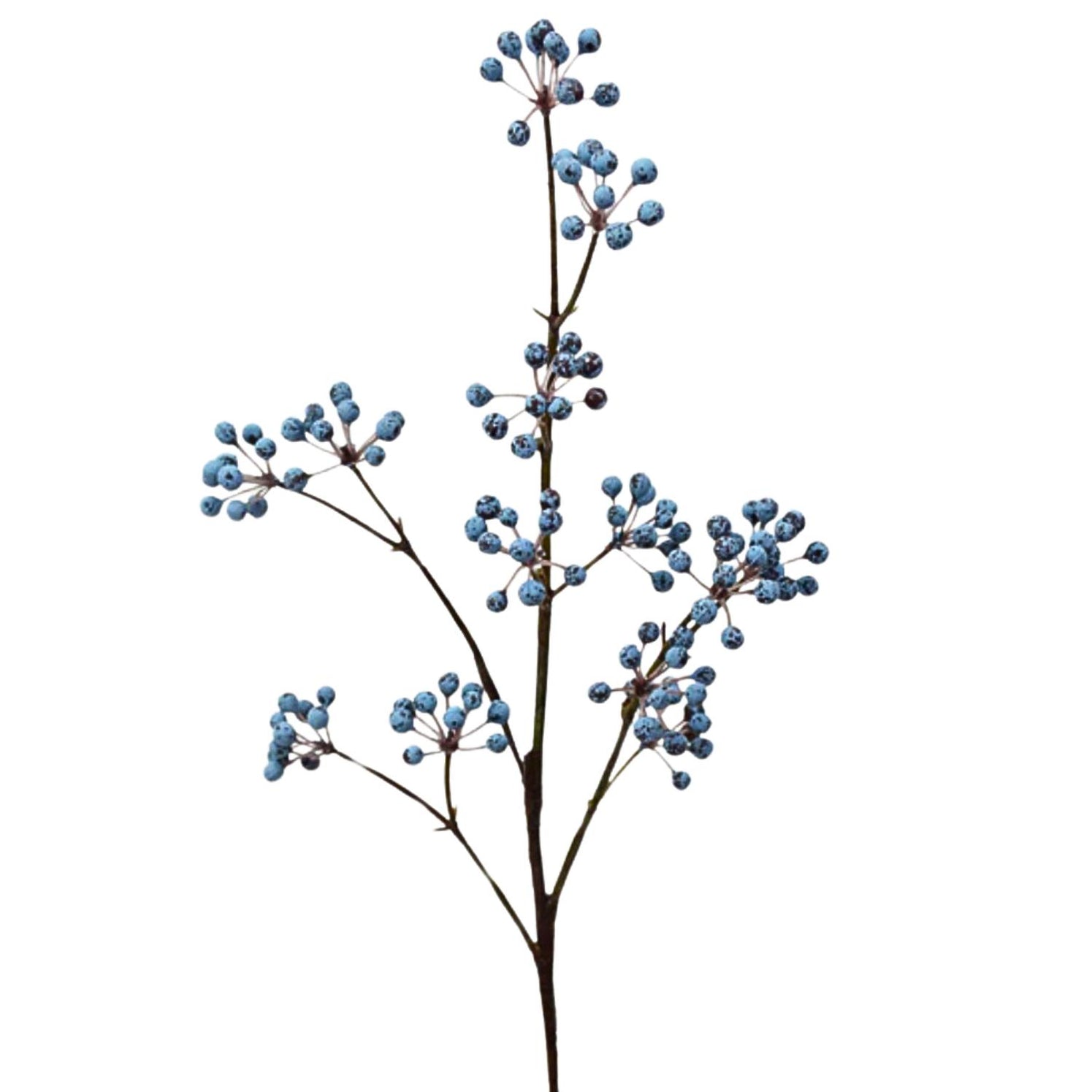 Seasonal — Page 4 — Trendy Tree