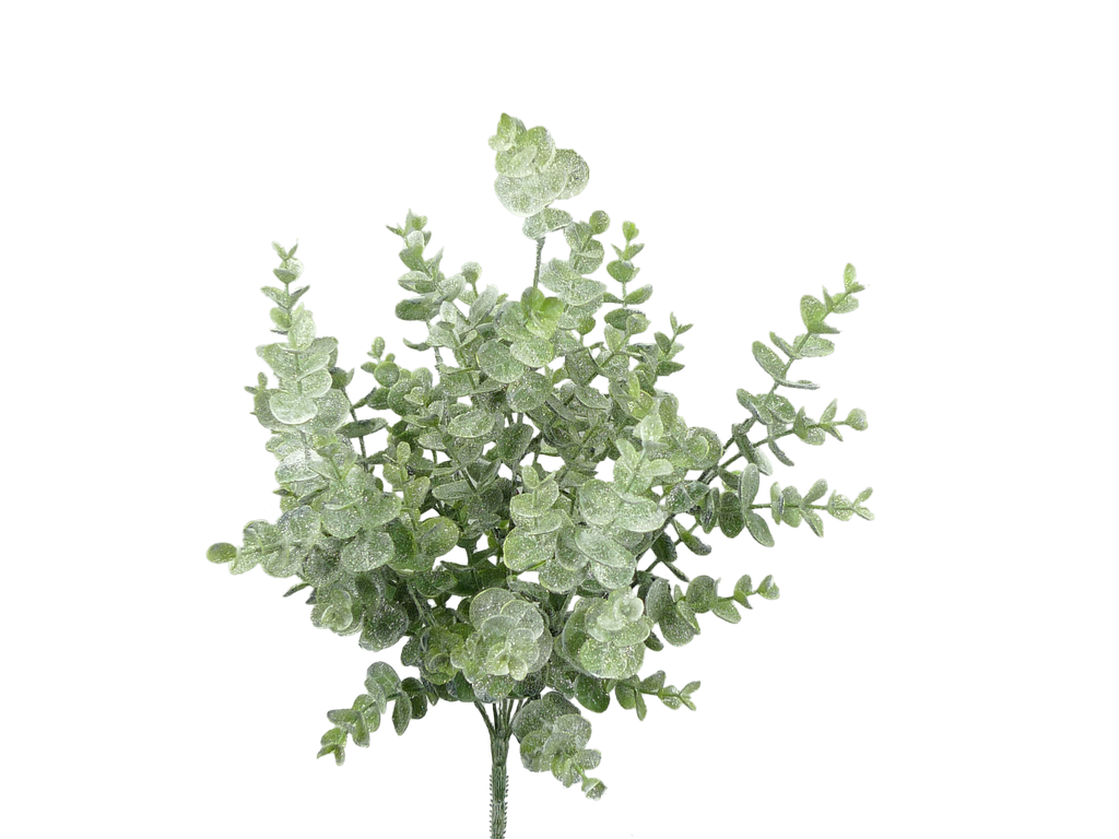 New Arrivals — Trendy Tree